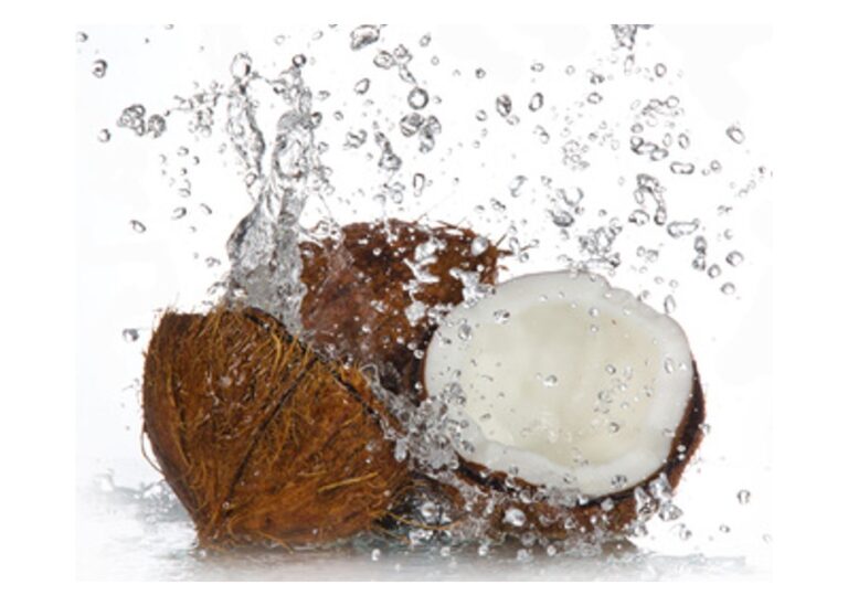 Coconut Product Processes - Alpha Coconut